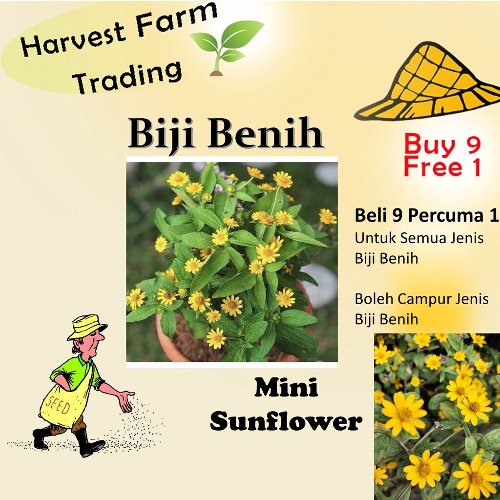 biji benih sayur sayuran pelbagai bunga vegetable seed bibit anak pokok ...