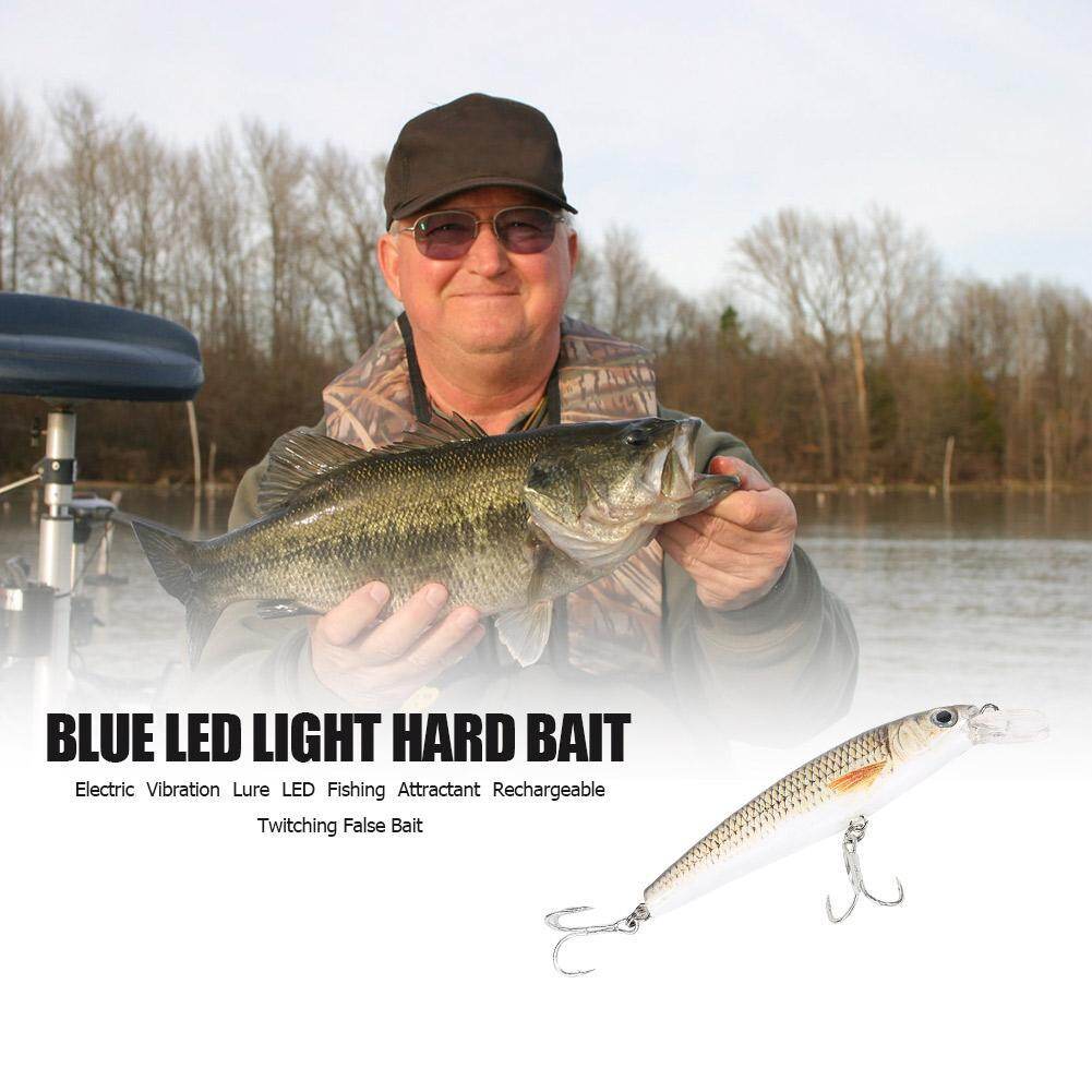 SH Electric Vibration Fishing Lure Blue LED Rechargeable Attractant ...