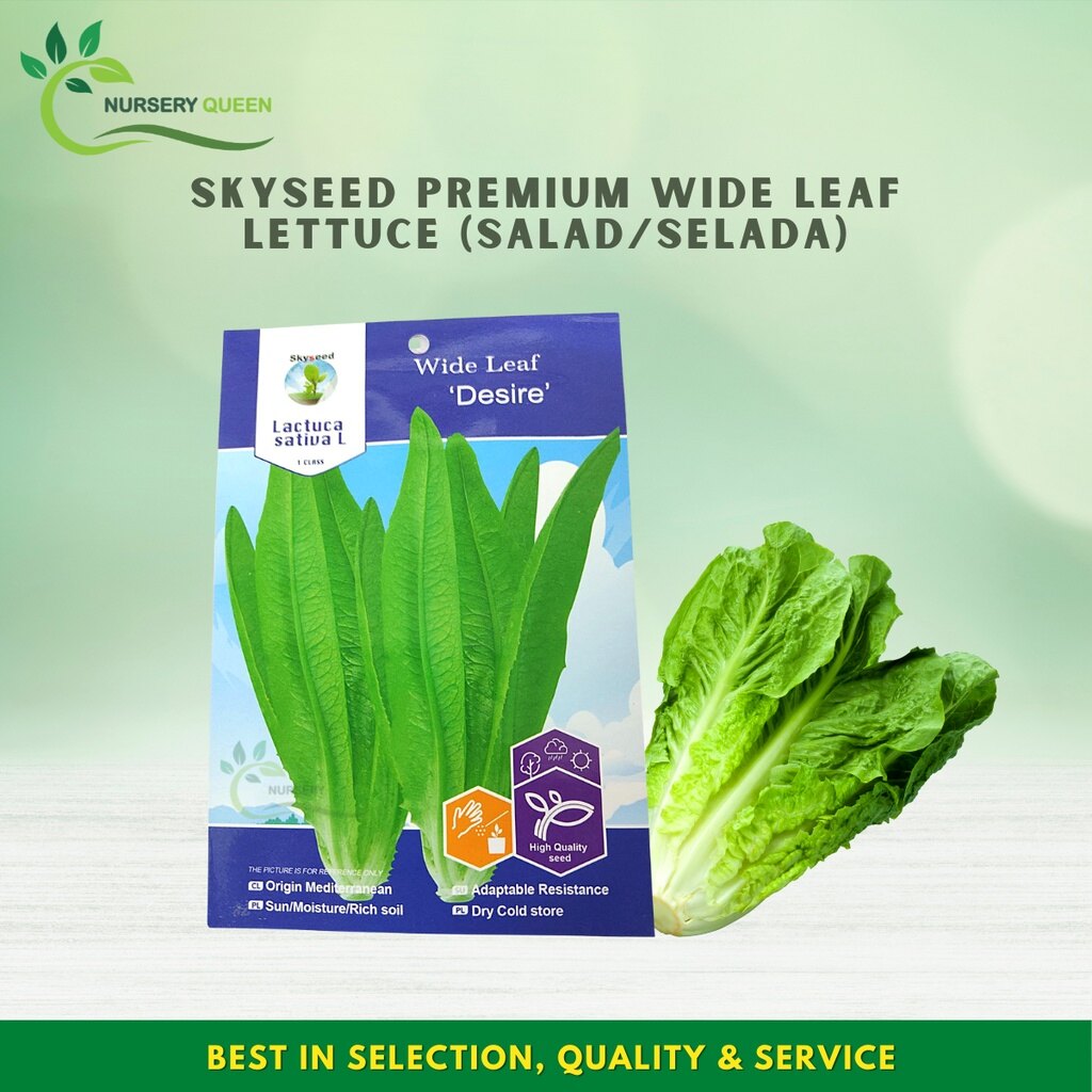 Skyseed Premium Vegetable/Fruits Seed Biji Benih Sayur/Buah Indoor ...