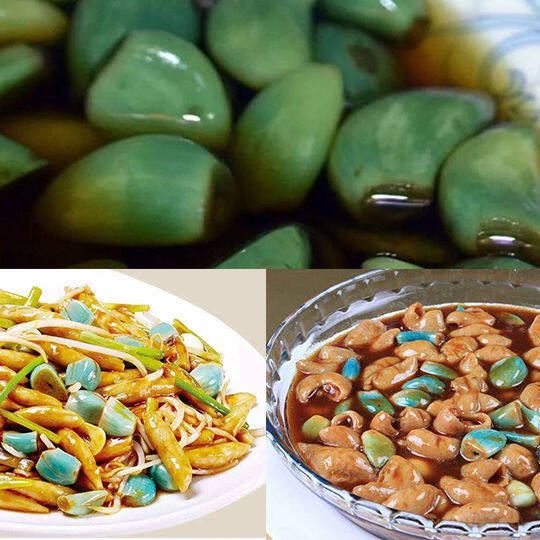 ZEJUN Jade Laba Garlic Green Garlic Vinegar ดอง กระเทียม กระเทียม 500g ...