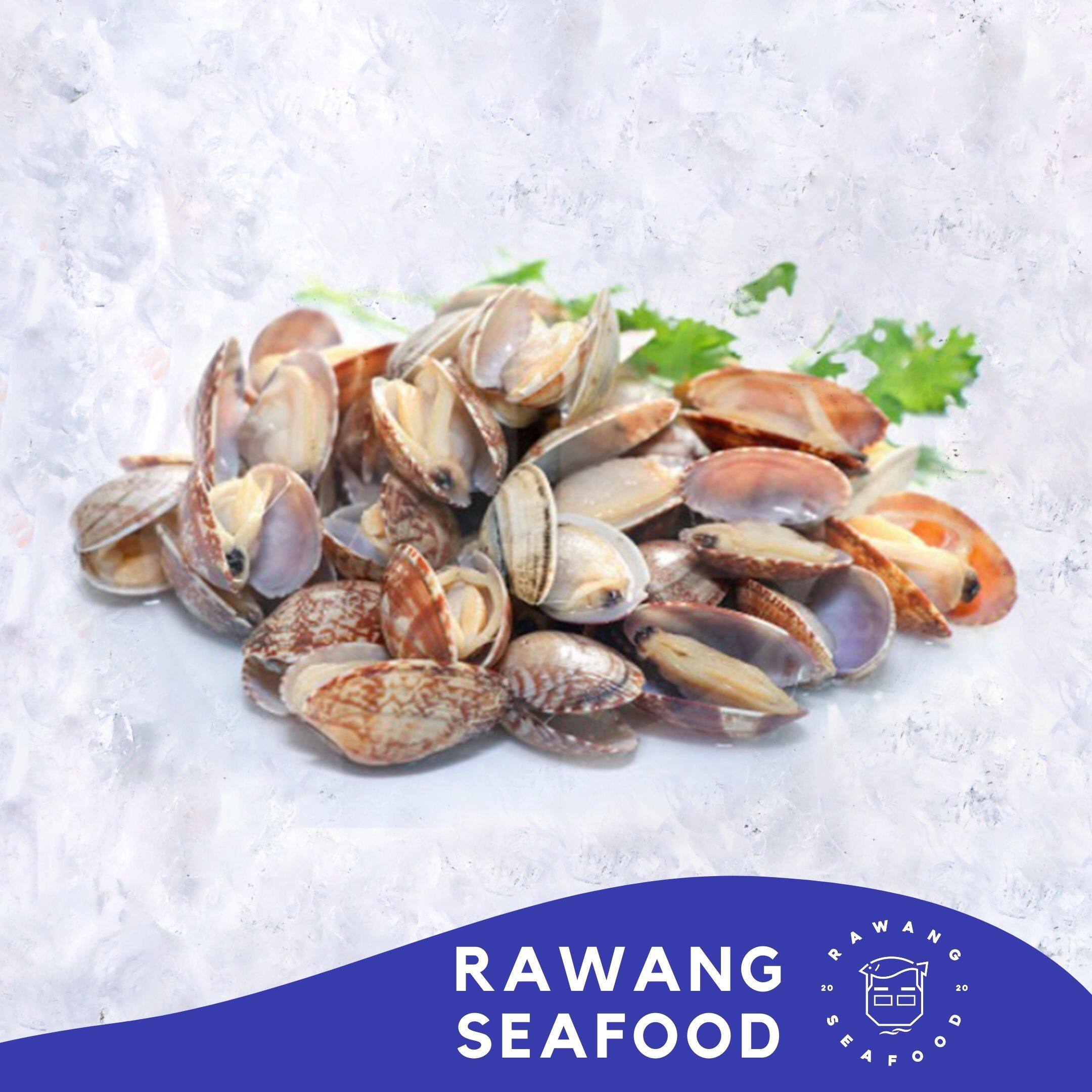 Asari Clam / Lala Kepah / Short Neck 日本啦啦 (500g) Frozen shellfish ...