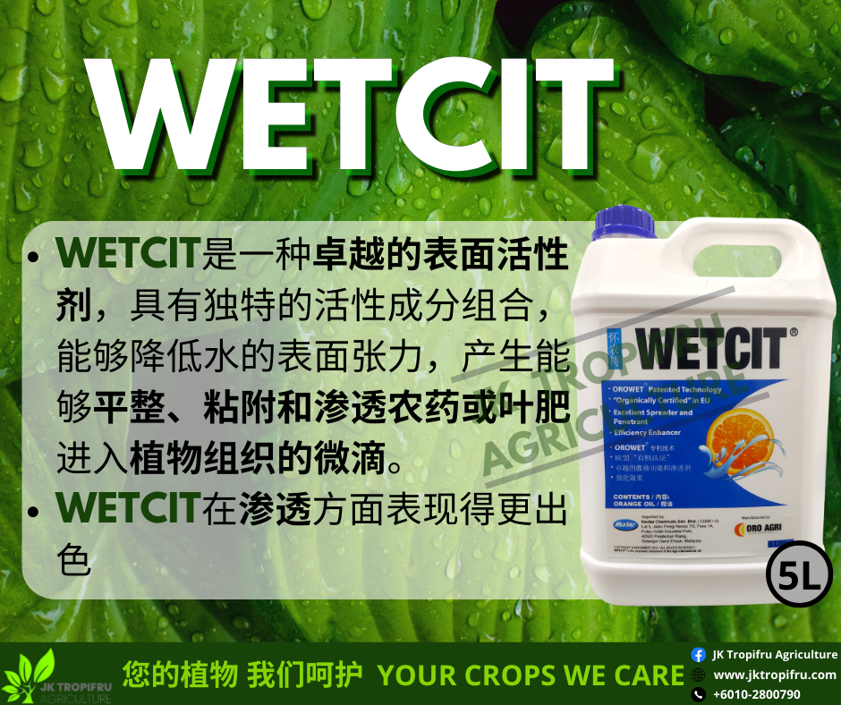 Wetcit (5L) Adjuvant /Kawalan koya /Tambah kuat racun / 黏油 | Lazada