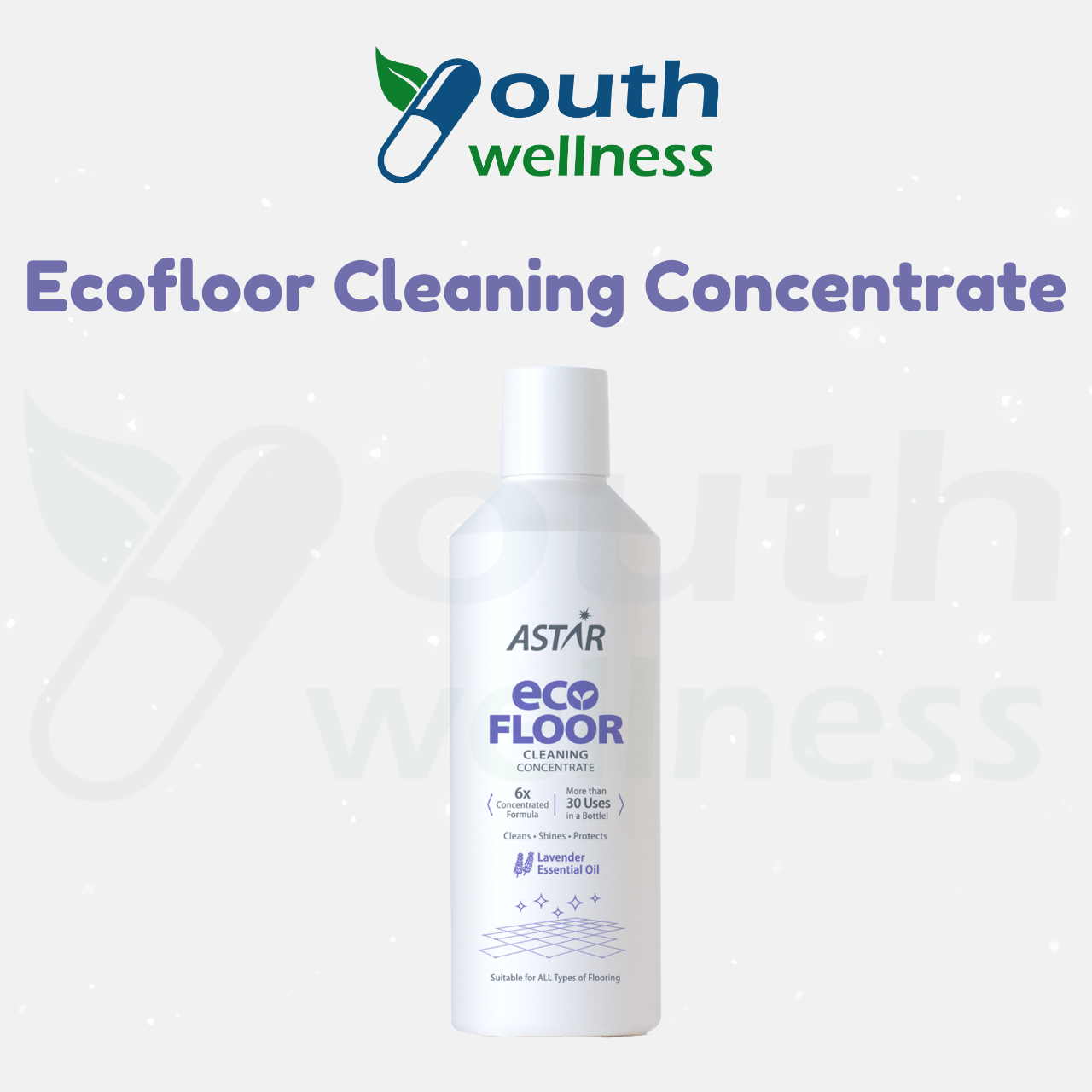 Astar ECODISH ECOFLOOR Antibacterial Dishwash Floor Cleaner | Washing & Cleaning Concentrate ...