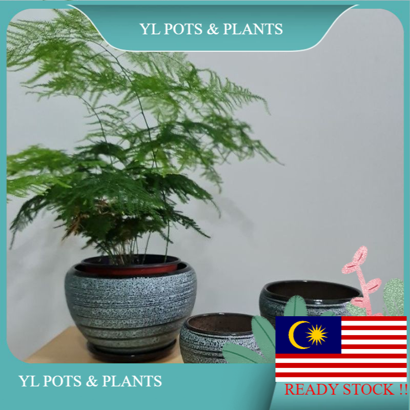 YL Apple Ceramic Pot White Pasu Seramik Epal Putih Pasu Gubahan Orkid ...