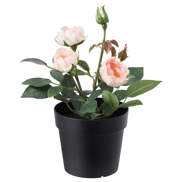pokok bunga hiasan ikea - Carolyn Hemmings