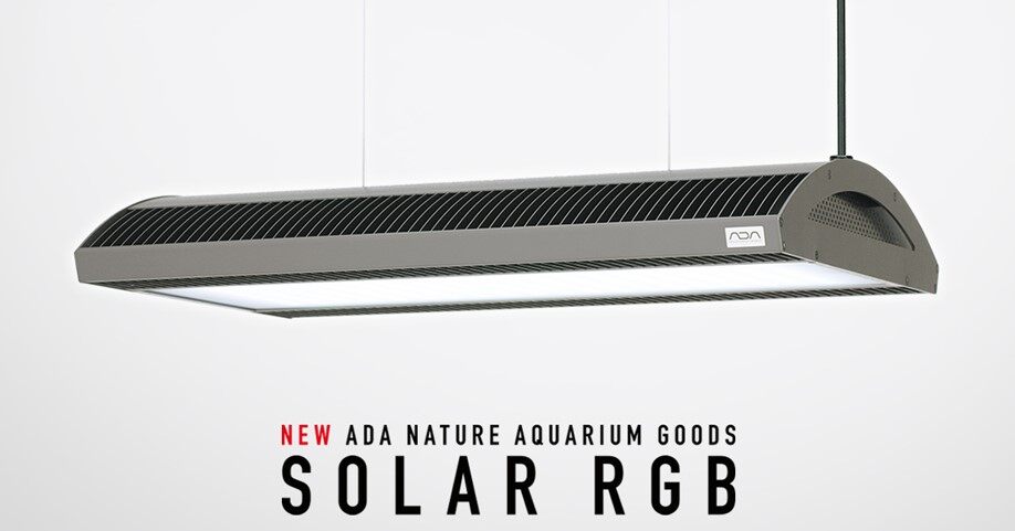 ADA Solar RGB | Lazada: Buy sell online Lightings with cheap price | Lazada