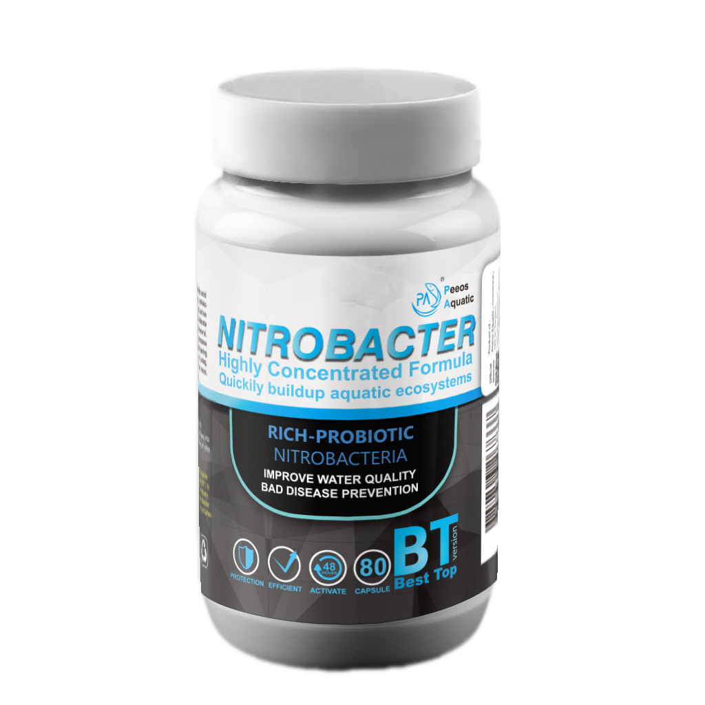 PA Nitrobacter Highly concentrated formula 80 capsule for fish aquarium ...