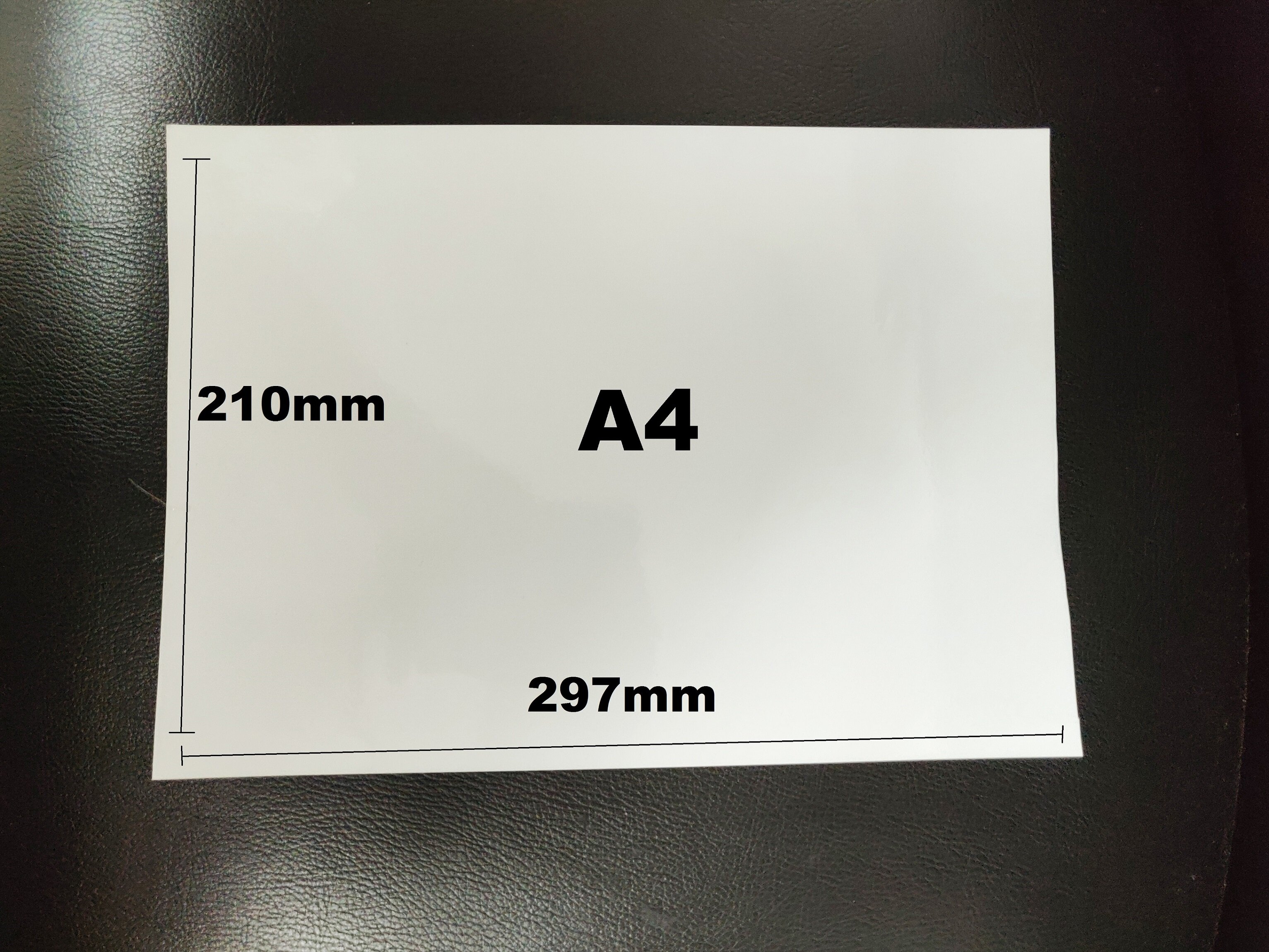 PLAIN ROADTAX STICKER - A4 size / A3 size | Lazada