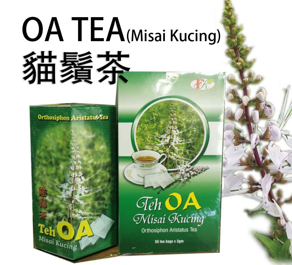 OA TEA Misai Kucing猫鬚茶降糖尿尿酸 | Lazada