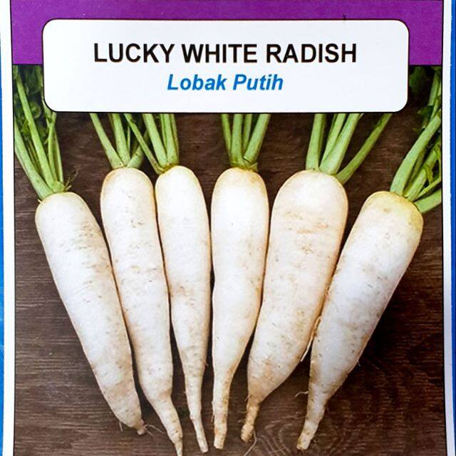Benih Lobak Putih @ White Lucky Radish (5 gram) | Lazada