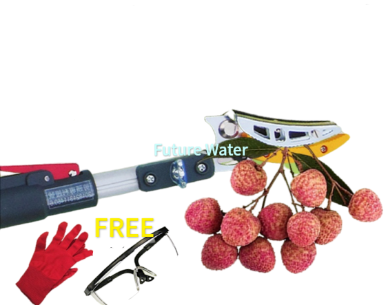 Rambutan Picker Pruner Cutter Shear Lychee Picker Extended to 3 meters ...