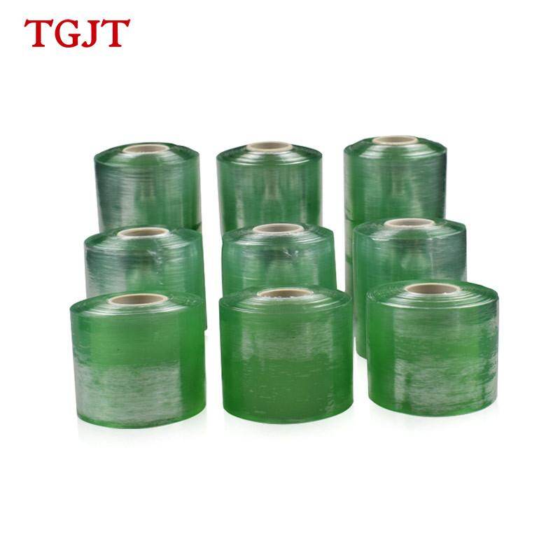 TGJT Professional ผลไม้ต้นไม้สาขาเยื่อต่อตาต้นไม้เล็กน้อยเหนียวองุ่น ...