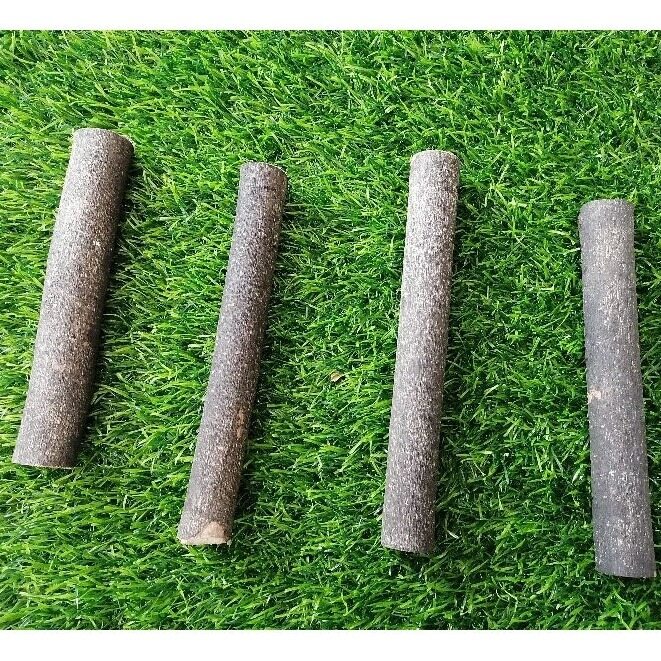 KAYU TAS JANTAN HUTAN | Lazada