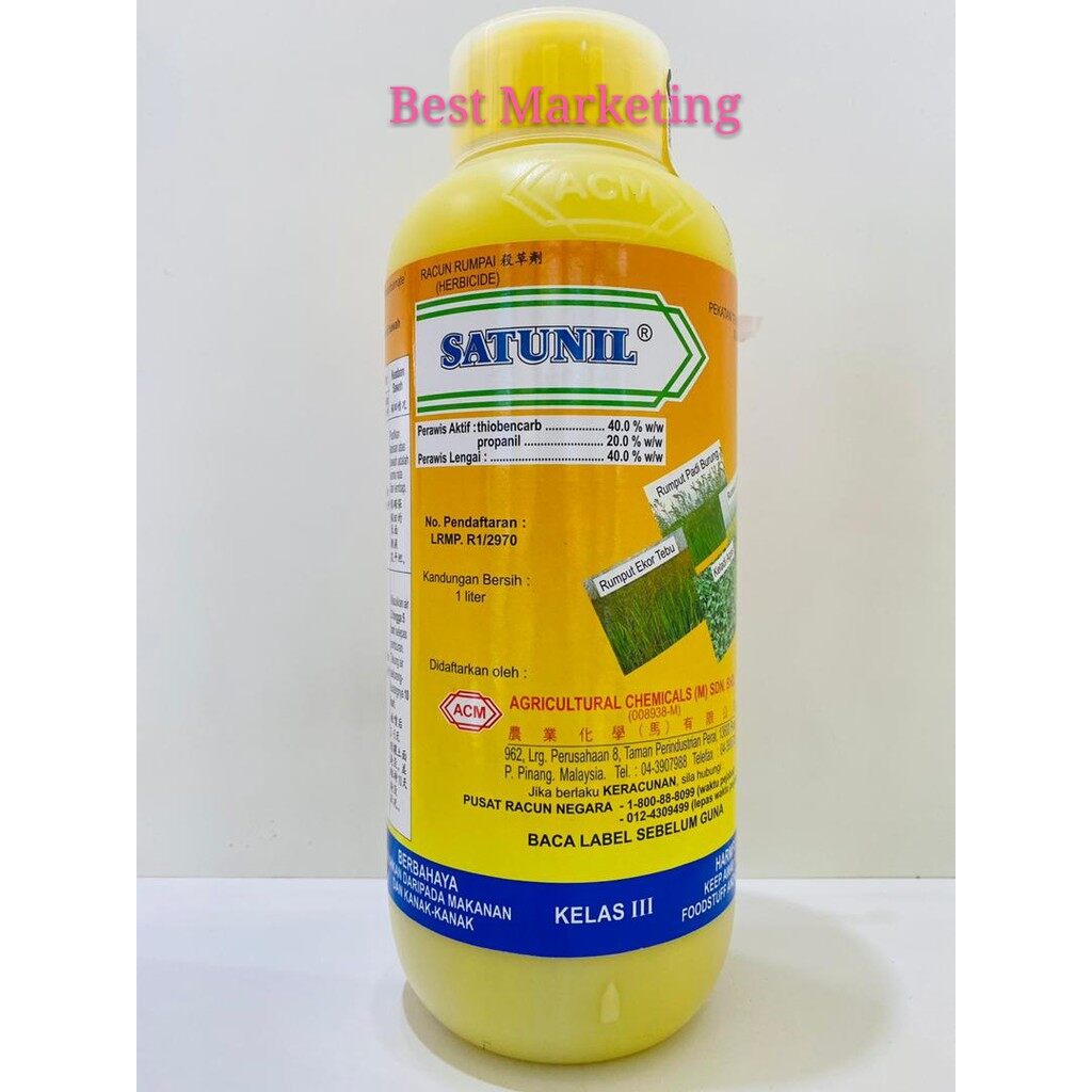 1LIT SATUNIL ACM / Rumput Sambau Padi | Lazada