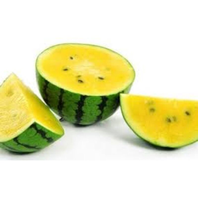 5pcs Benih Tembikai Bulat Kuning/Yellow Round Watermelon Seeds/黄圆西瓜种子 ...