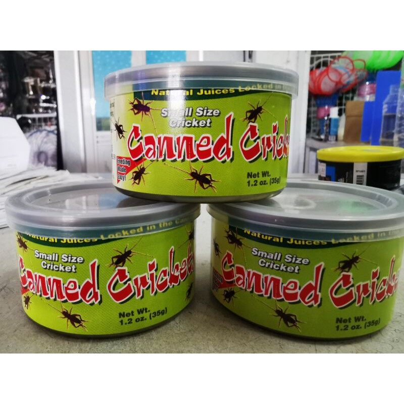 Ready # Cengkerik Tin / Canned Crickets # | Lazada