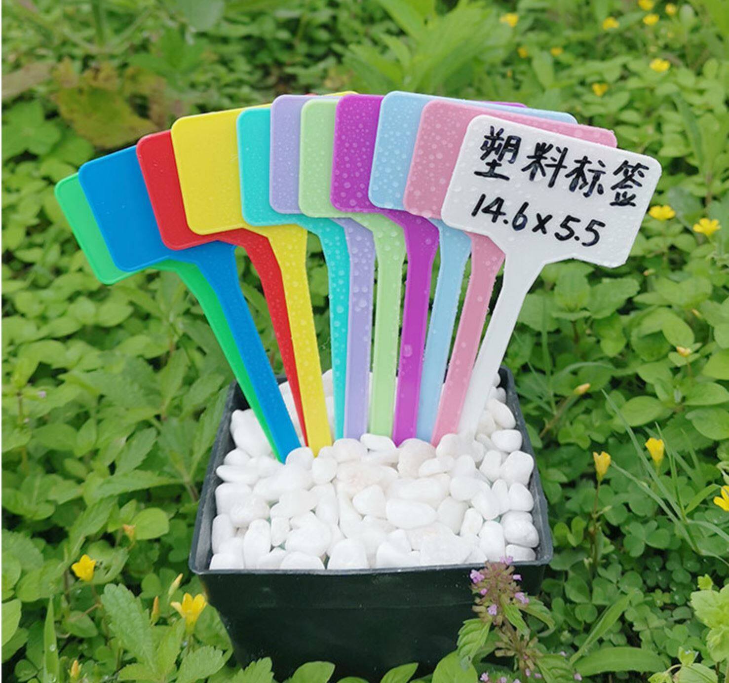 Plant Tag/Plant Label/Penanda Pokok/Plant Tag : Plastic T-Type Plant ...