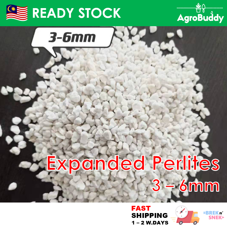 AgroBuddy Perlite 3-6mm For Cactus & Succulents (Natural Expanded ...