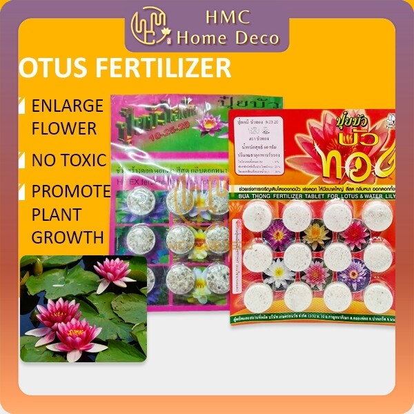 THAILAND FERTILIZER FOR LOTUS & WATER LILY ( 12 TABLETS ) BAJA TUMBUHAN ...