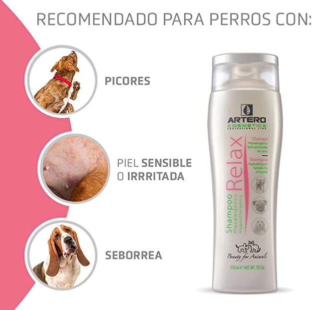 ARTERO BLANC/HIDRATANTE/VITALIZANTE/RELAX SHAMPOO 250ML | Lazada