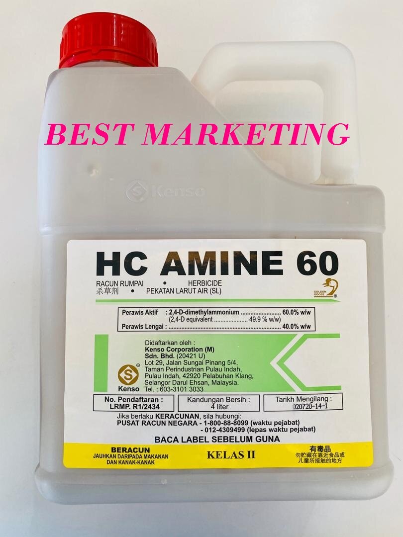 4LIT HC AMINE 60 KENSO / Keladi agas / Para Para | Lazada
