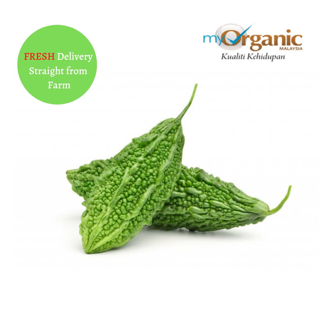 Organic Small Bitter Gourd Cameron Highlands 500gm± 金马仑有机苦瓜仔 (Delivery ...