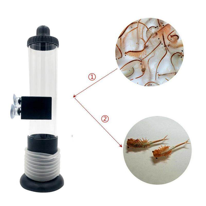 UU Pet Supplies 】Aquarium Brine Shrimp Hatcher Tool Incubator Artemia ...