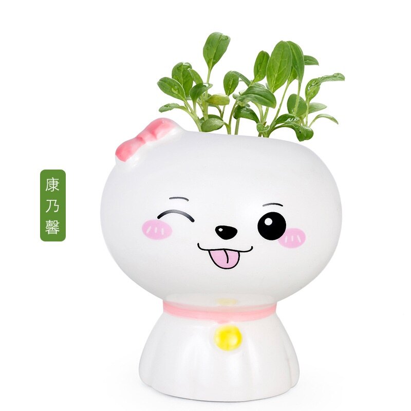 Creative Mini Pot Plant Cute Plant Office Desktop Green Plant ...