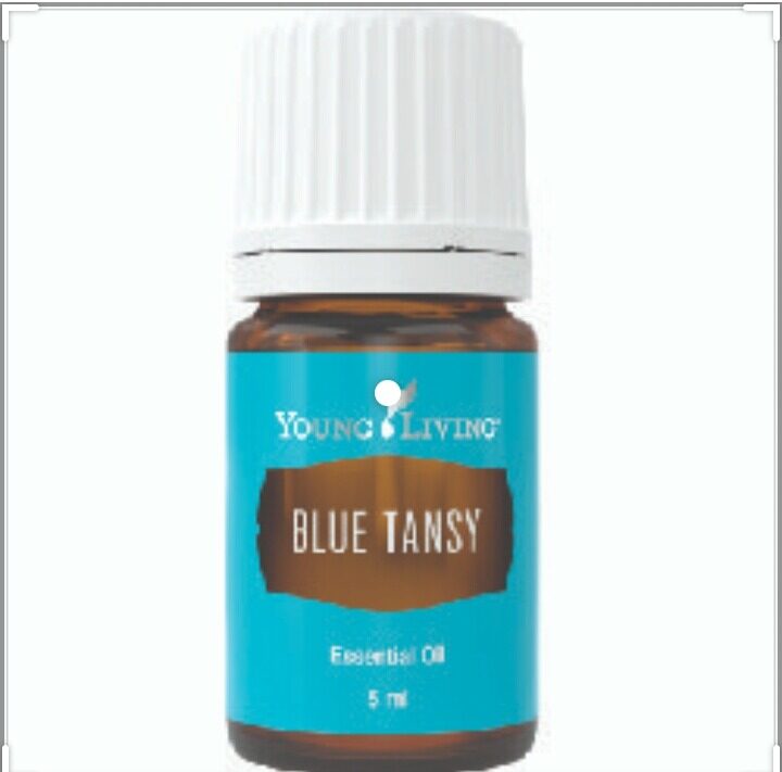 YL Young Living Blue Tansy Essential Oil 5ml | Lazada