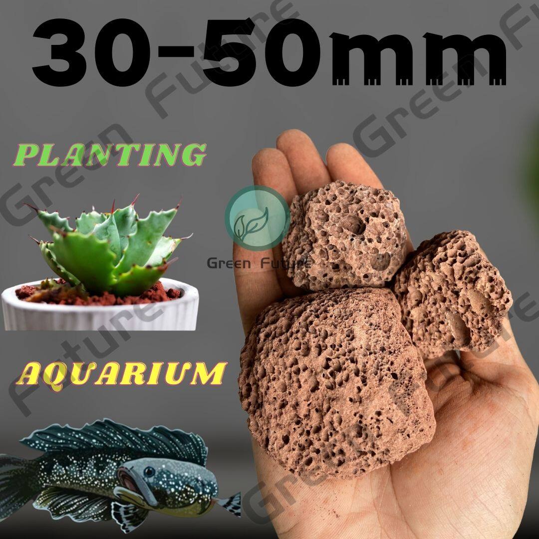 Red Lava Rock PASIR MALANG Volcanic Stone Bio Filter Media Succulent ...