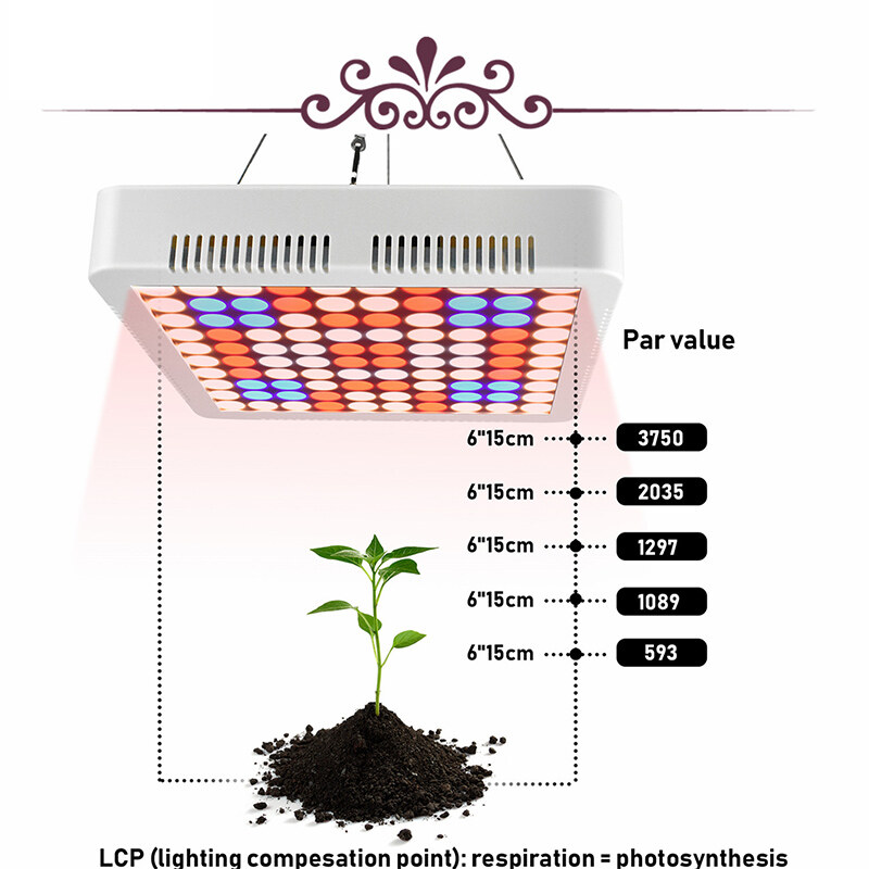 3000W LED Plant Grow Light Full Spectrum IR & หลอดไฟ UV LED ปรับเชือก ...