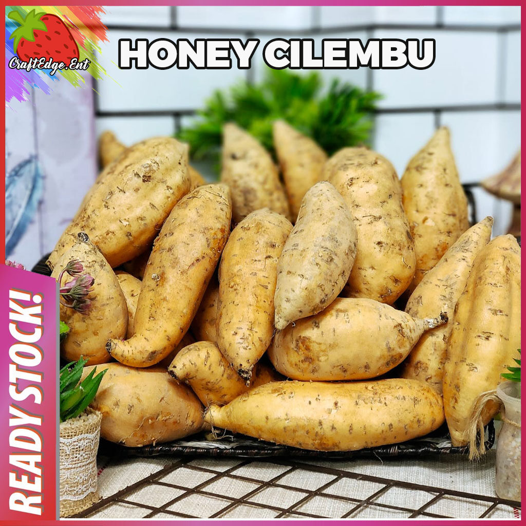 [LIMITED STOCK !!!] UBI MADU CILEMBU / HONEY CILEMBU / CAMERON ...