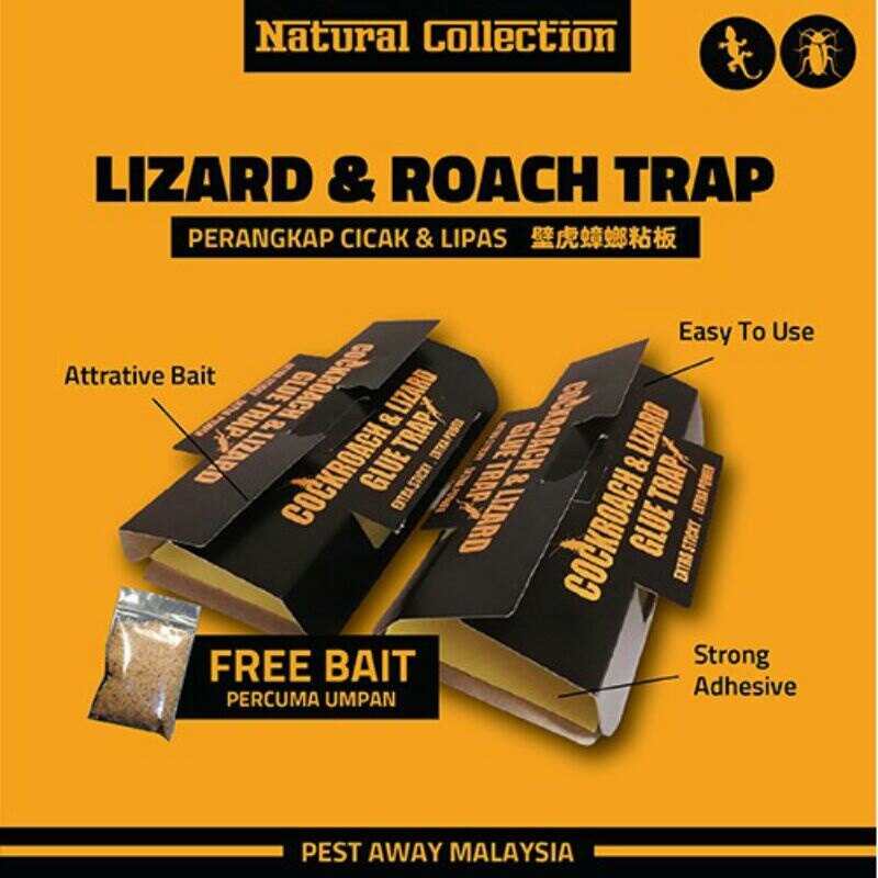 Lizard Glue Trap Menjadi | Lazada