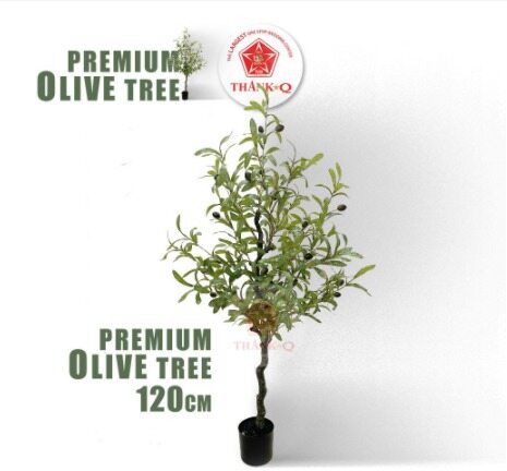 【GW】 POKOK VIRAL - Olive (READY STOCK) | Lazada