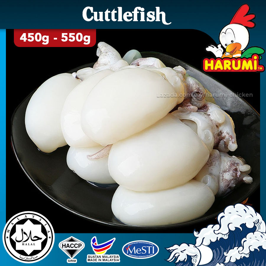 🦑CLEANED & VACUUM🦑 Cuttlefish (450 - 550g) 墨鱼 Sotong Frozen Fresh ...