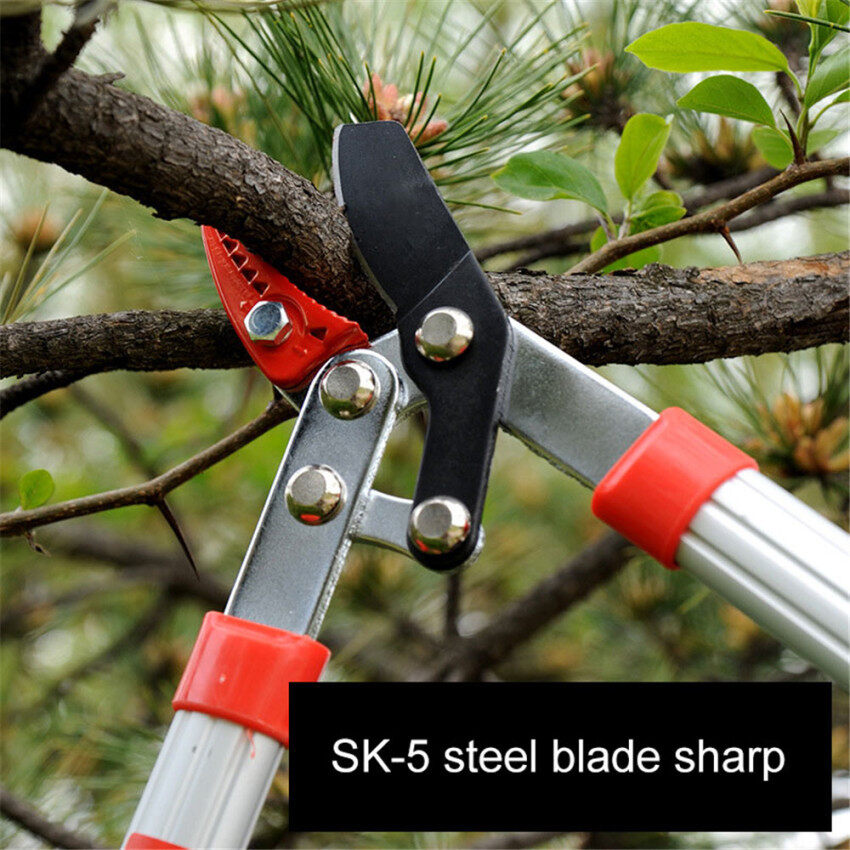 Pruning Tools Telescopic Tree Ratchet Lopper Pruner Extending Garden ...