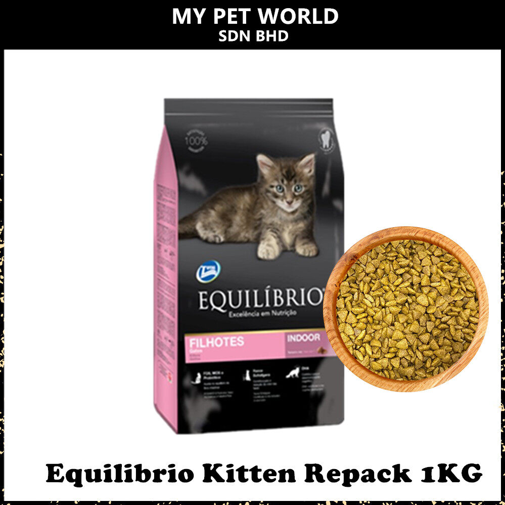 Equilibrio kitten store