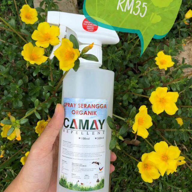 CAMAY SPRAY KAMIP, KUTU DAN ULAT DINDING NATURAL INSECT SPRAY WITH 🎁 ...