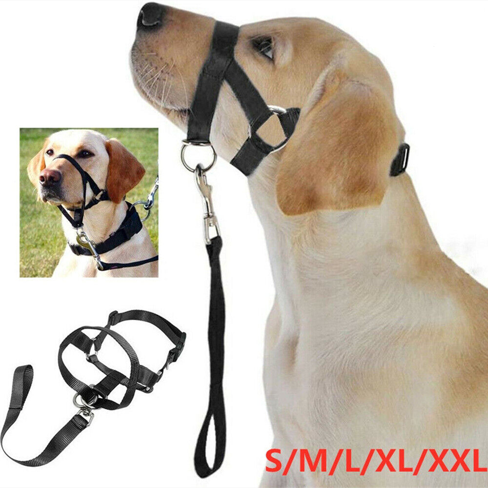 Leader Harness Collar Gentle Head Dog Halter Halti | Lazada PH
