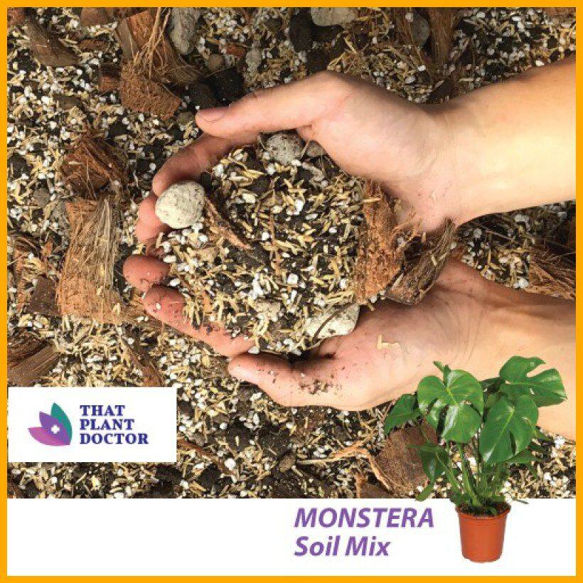 Monstera Soil Mix (4l / 12kg) | Lazada