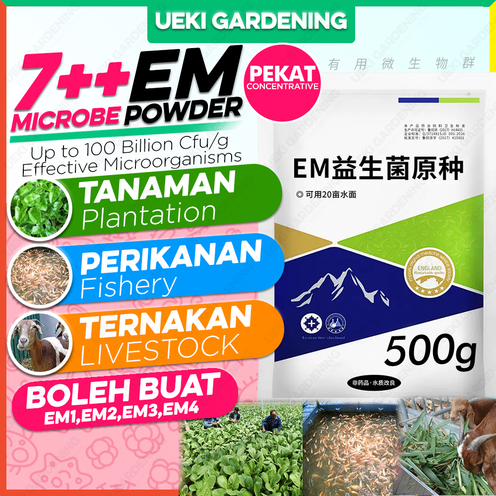 EM Powder Untuk Ternakan 益生菌原种 Aquarium Bacteria Starter Penjernih Air ...