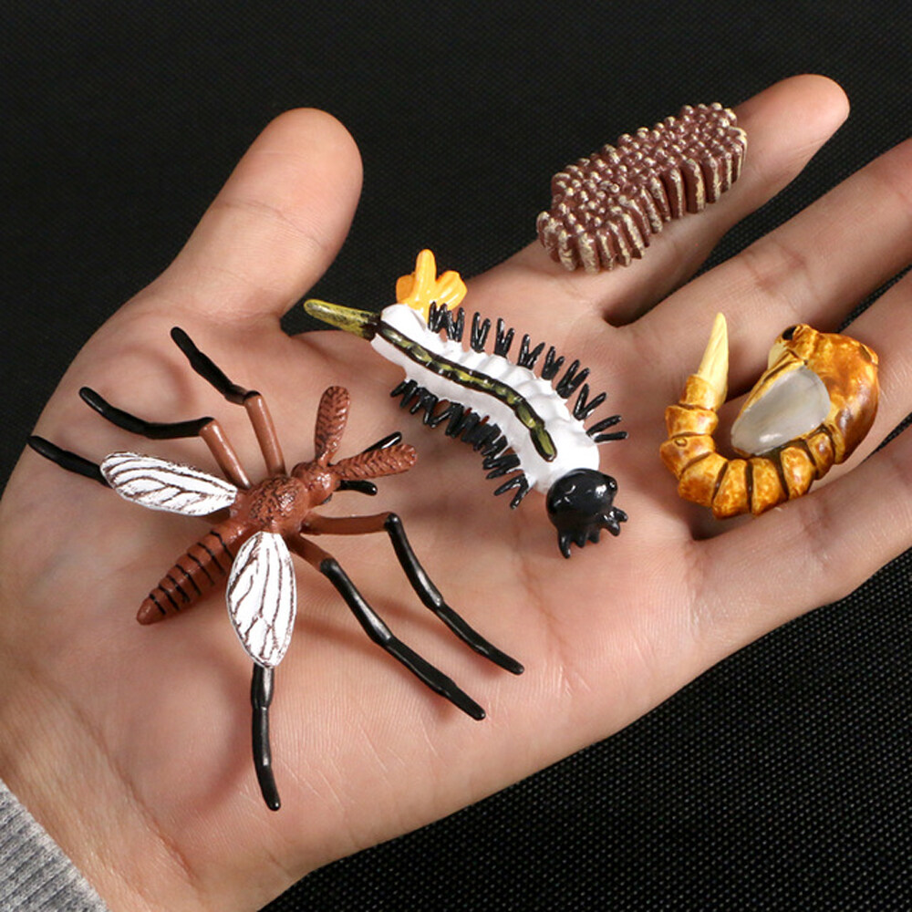 TEBRANG Biology Kids Toy Insect Animals Chicken Plastic Models Spider ...