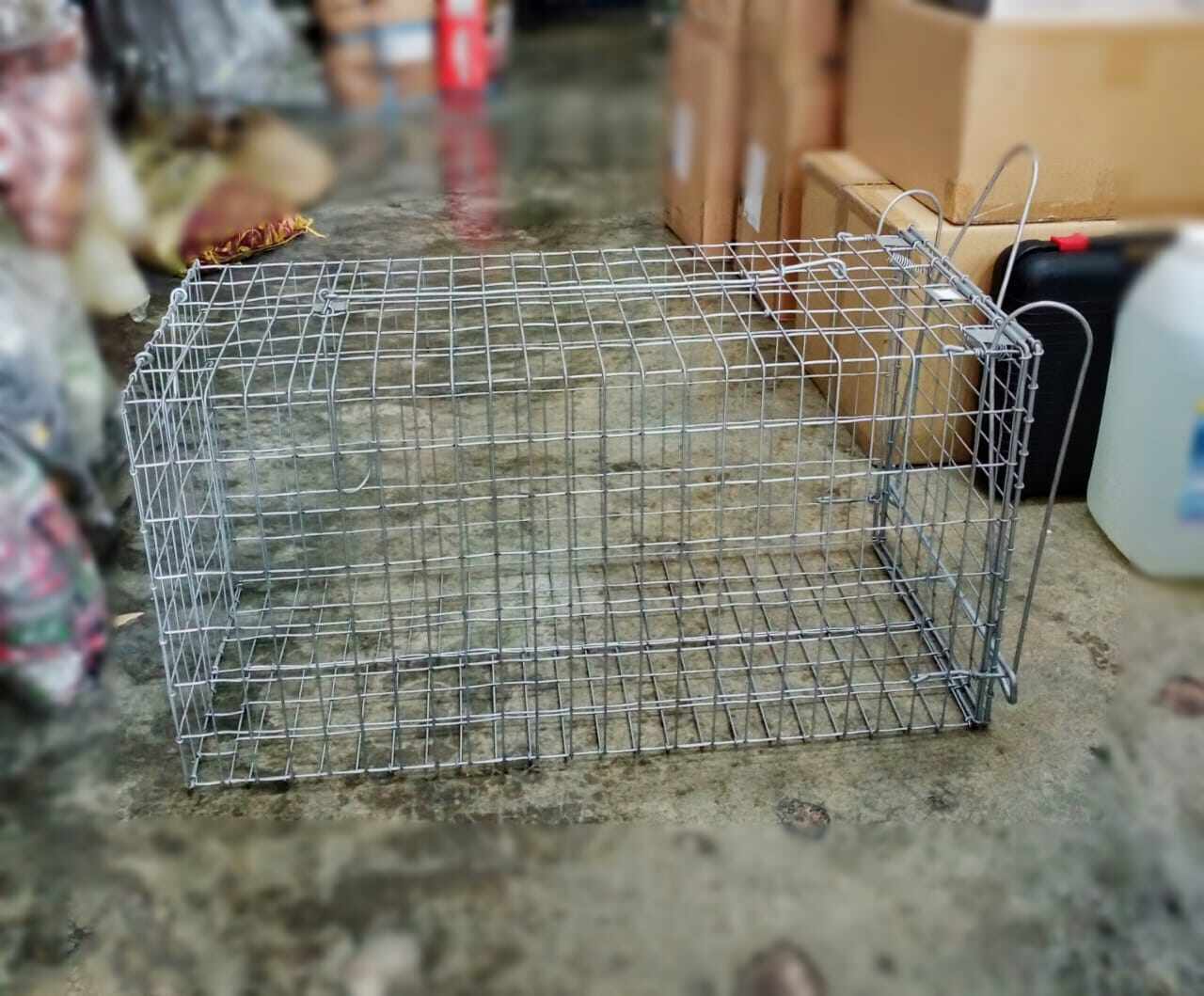 SANGKAR BESI (PERANGKAP TUPAI /KUCING) 70cm x 31cm x H36cm | Lazada
