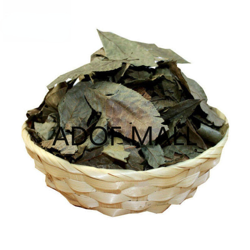 【ADOF MALL】(In Stock) Green Money Willow Original Leaves 250g | Lazada