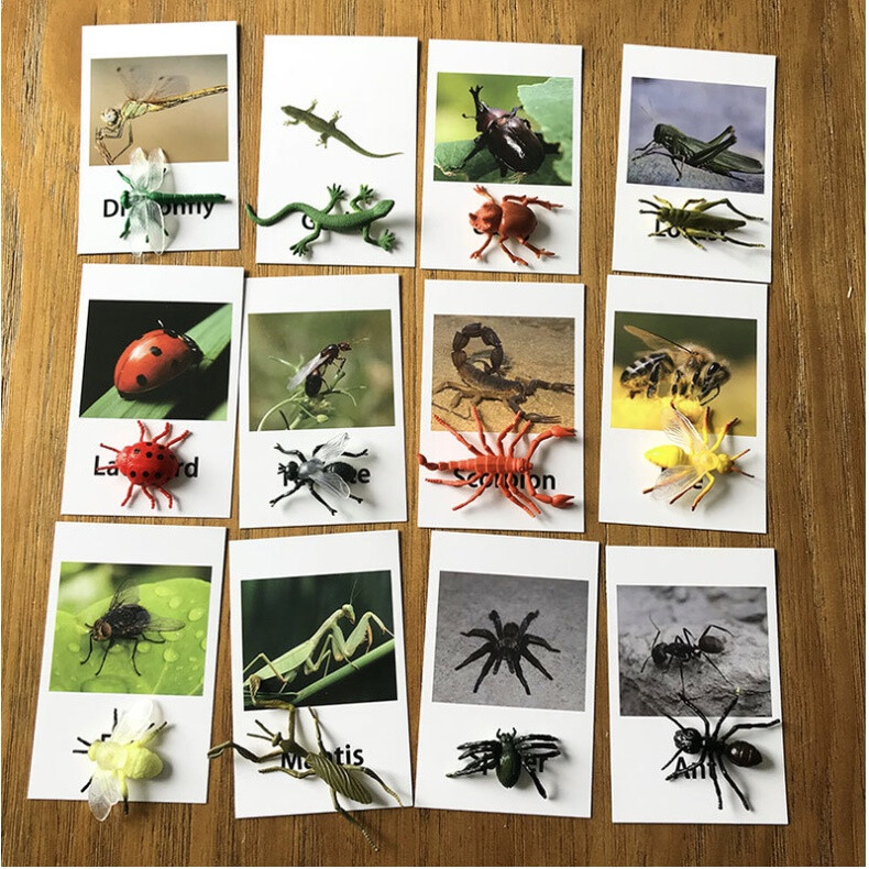 Montessori Animal Insect Model Card Matching/ Early Educational Toy ...
