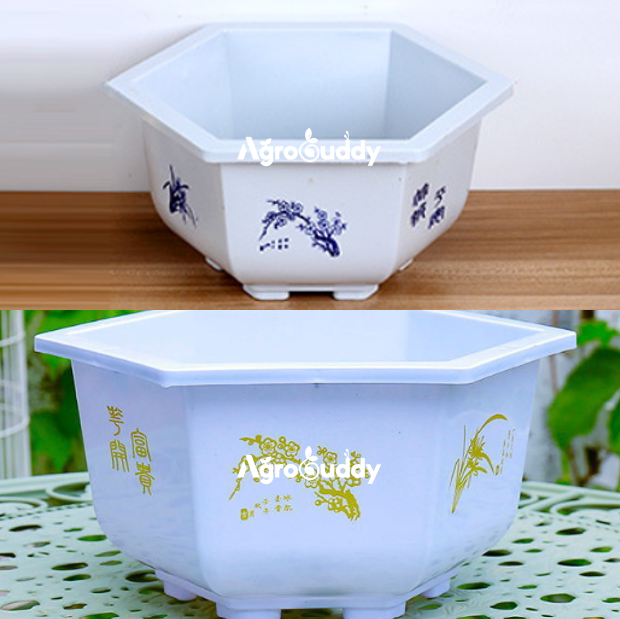AgroBuddy Hexagon Bonsai Plastic Flower Pot Gardening Pot / Pasu Bunga ...