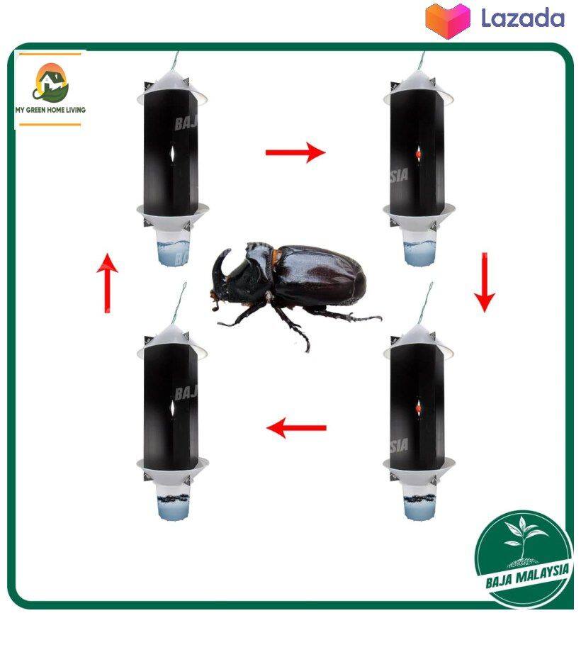 Rhinoceros Beetle Trap - Effective Pheromone Trap for Capturing ...