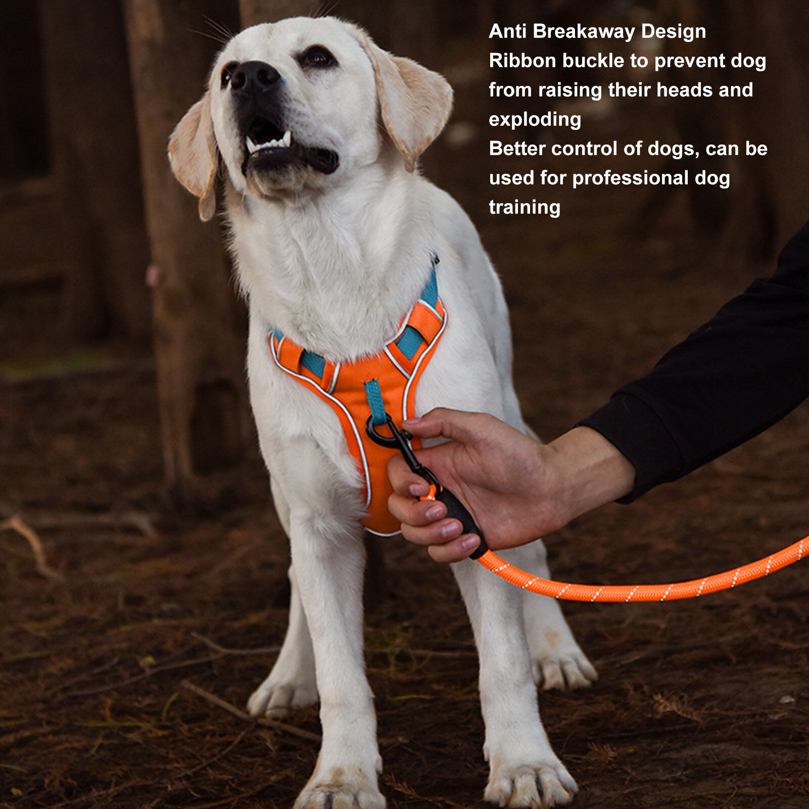 Dog Chest Strap Adjustable Back Night Safe Pet Harness for Medium and ...