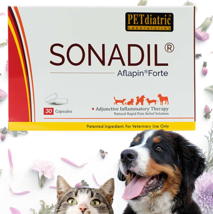 Sonadil® Aflapin Forte for dogs and cats. 30 Capsules - Natural Non ...