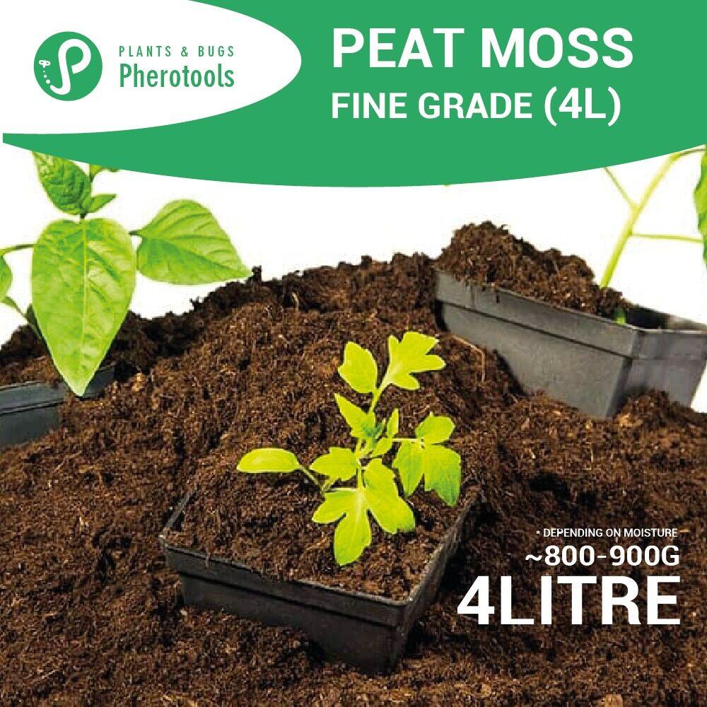 Pherotools PREMIUM PEAT MOSS (1L/4L) Fine Grade Tanah Semaian/Medium ...